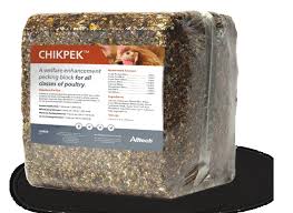 ChikPek Pecking Block – SkcFarmFencing